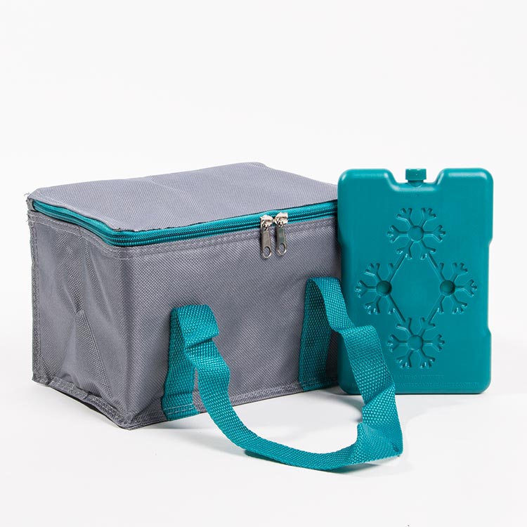 Mala Térmica com Acumulador de Frio FROSTLINE 5L – Loja Viva Online